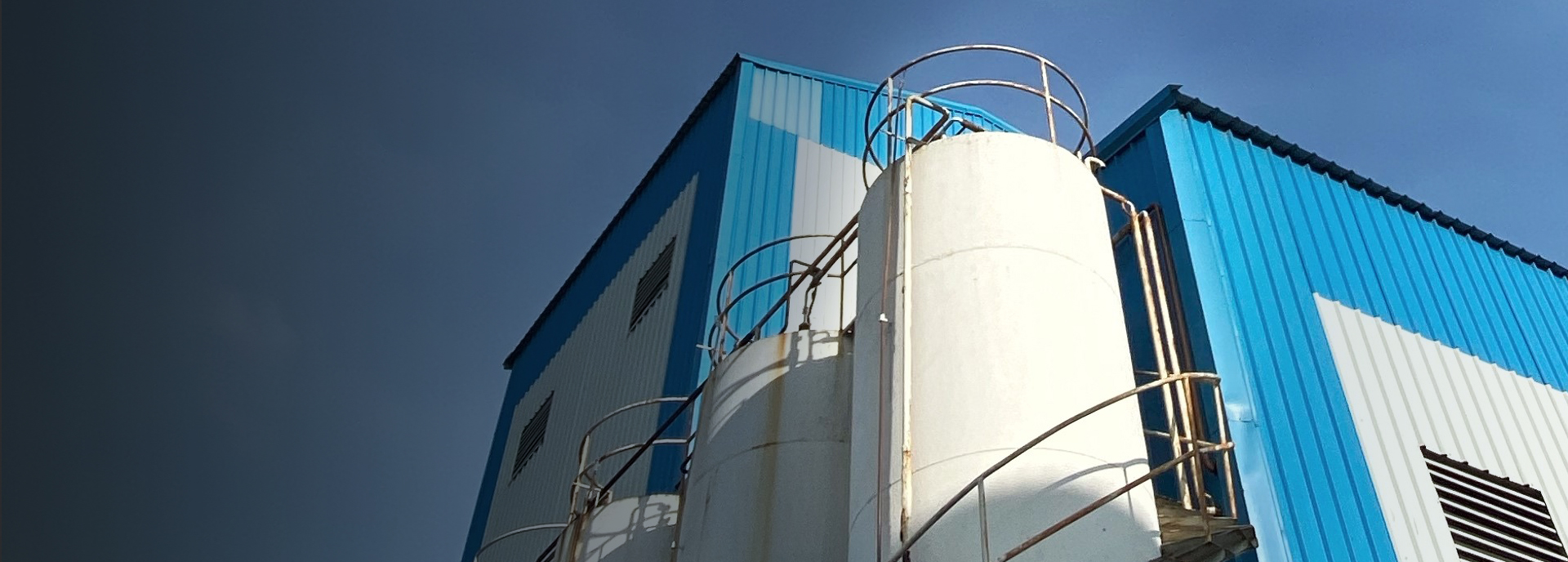 Nature Pulse Botanicals – Nature Pulse Botanicals