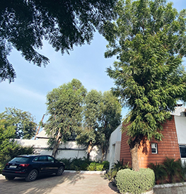 About Us – Nature Pulse Botanicals